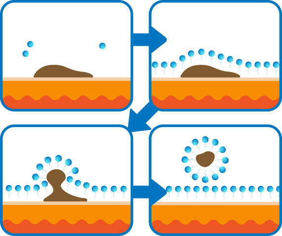 Understanding Surfactants The Science Behind Soaps and Detergents